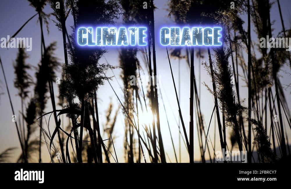 Climate change from drought to green landscape Stock Videos & Footage ...