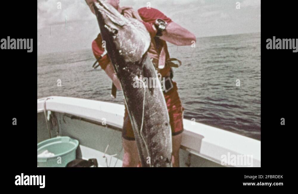 Barracuda boat Stock Videos & Footage - HD and 4K Video Clips - Alamy