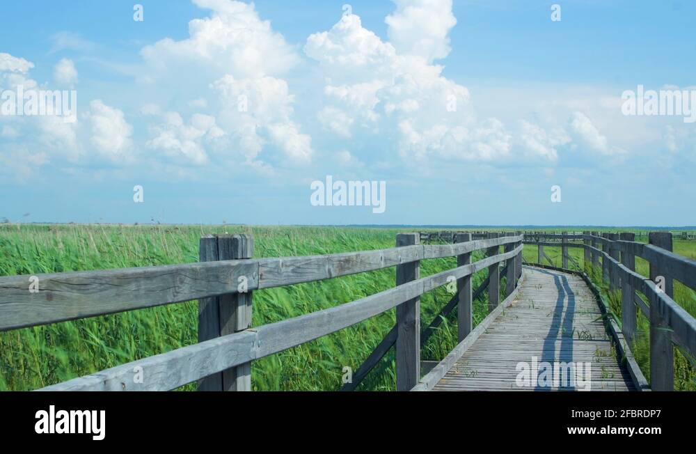 White pedestrian footbridge Stock Videos & Footage - HD and 4K Video ...