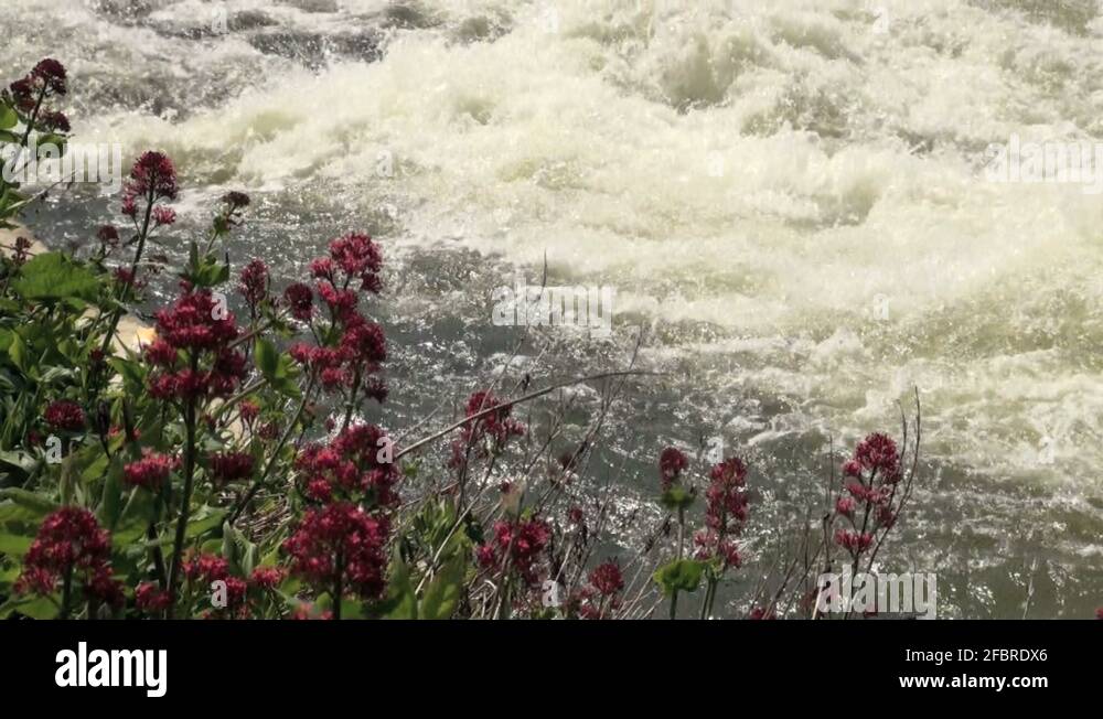 Gushing river Stock Videos & Footage - HD and 4K Video Clips - Alamy