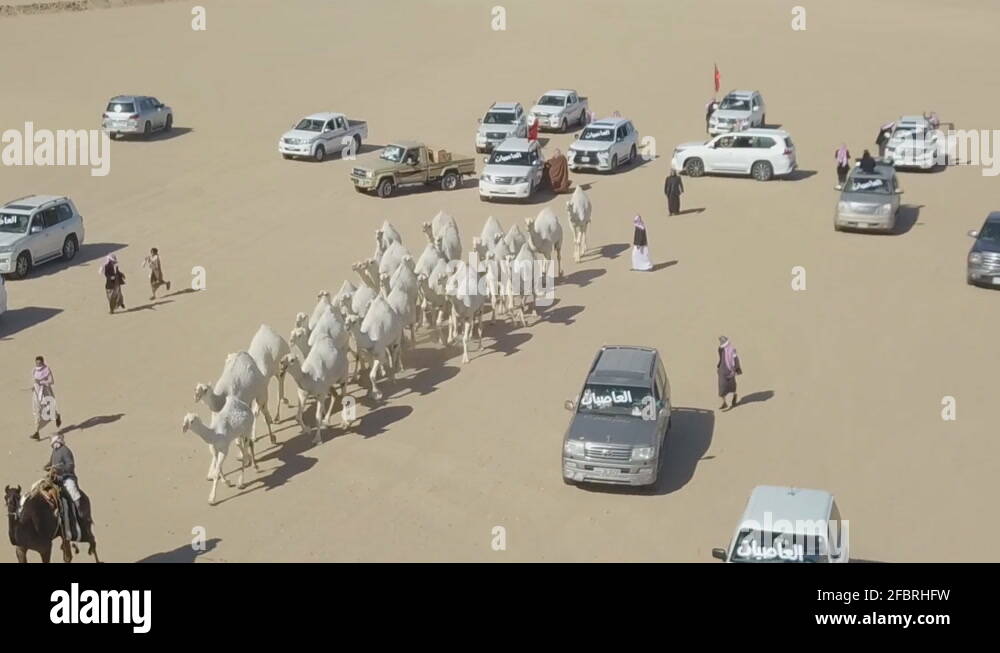 Arabian people in desert Stock Videos & Footage - HD and 4K Video Clips ...