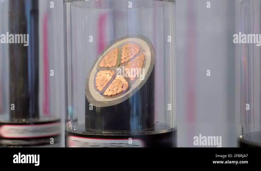 Powerful electrical cable in the cut shows the structure of the wire ...