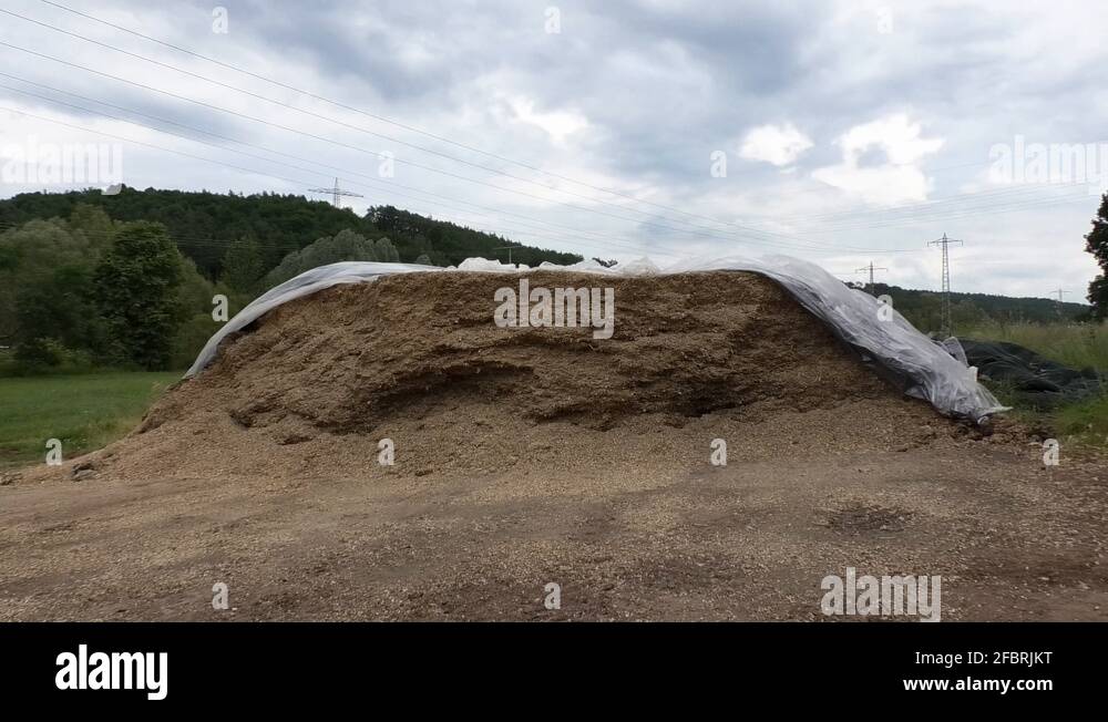 Pile of fodder Stock Videos & Footage - HD and 4K Video Clips - Alamy