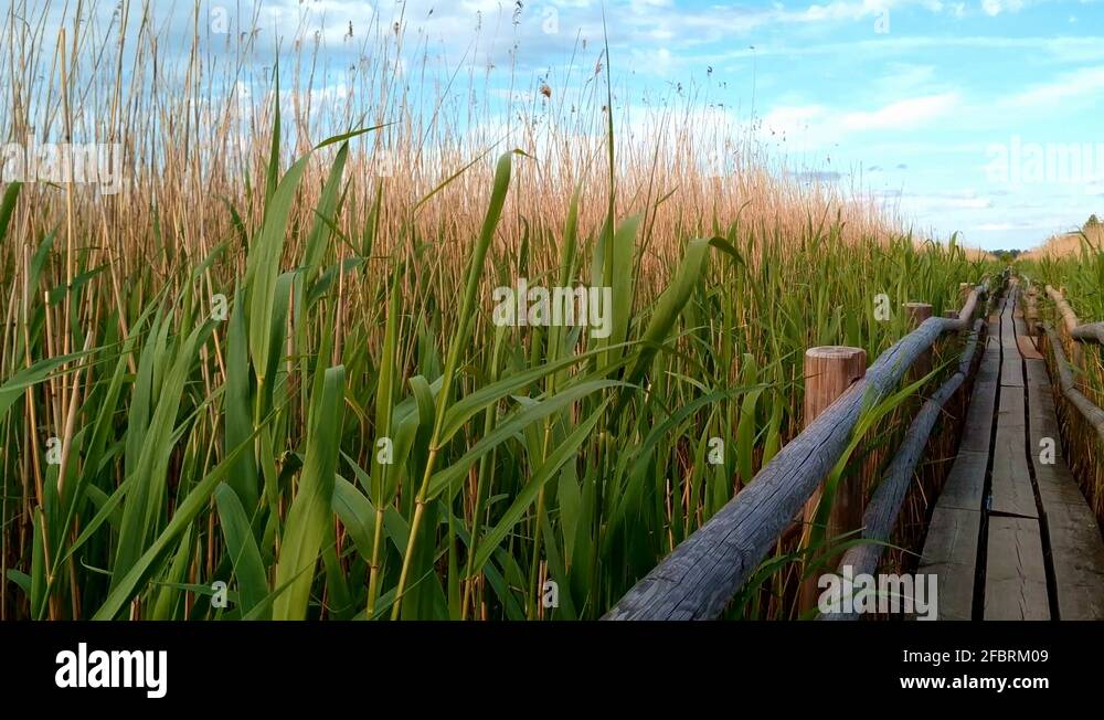 Earth pathway Stock Videos & Footage - HD and 4K Video Clips - Alamy