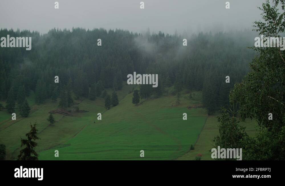 Static scene Stock Videos & Footage - HD and 4K Video Clips - Alamy