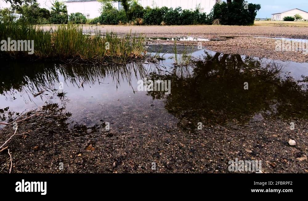 Puddle in country lane Stock Videos & Footage - HD and 4K Video Clips ...