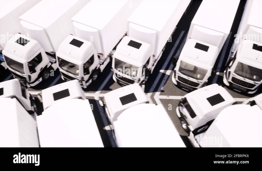 Speed bird logo Stock Videos & Footage - HD and 4K Video Clips - Alamy