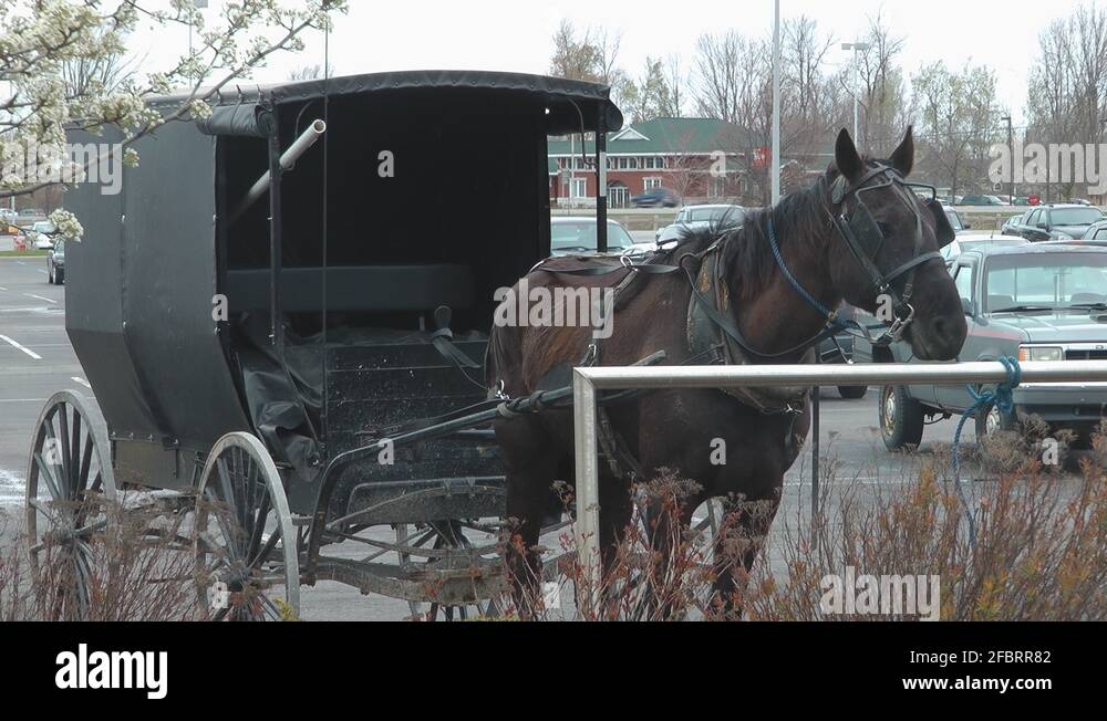 Amish transport Stock Videos & Footage - HD and 4K Video Clips - Alamy
