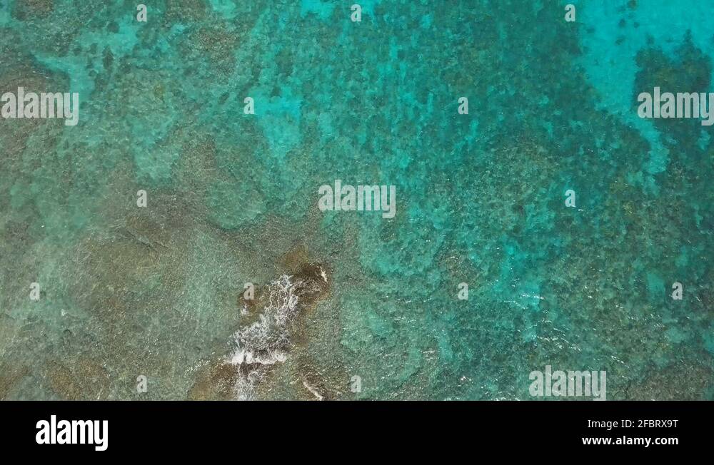 Overhead drone angle of tropical reef reveals swimming sea turtle in ...