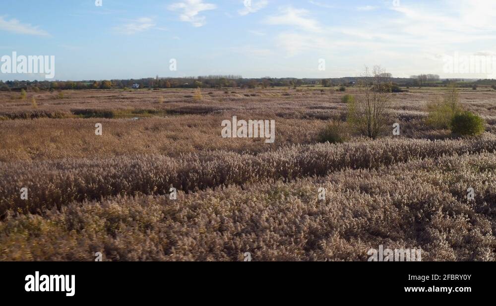 Kentish stour countryside project Stock Videos & Footage - HD and 4K ...