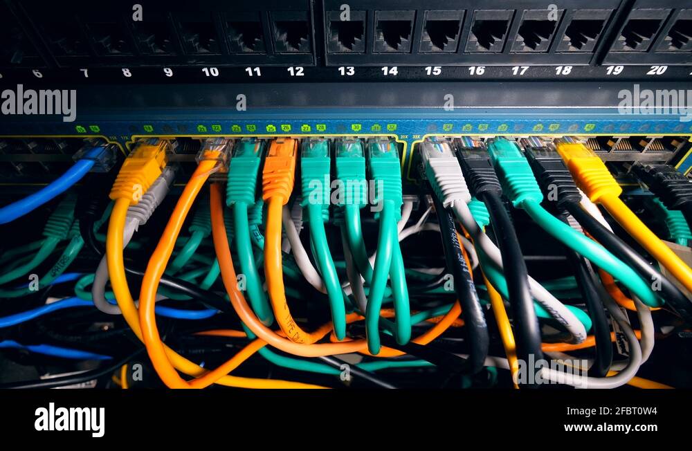 Cables connected to the slots of server blocks. Network and data ...