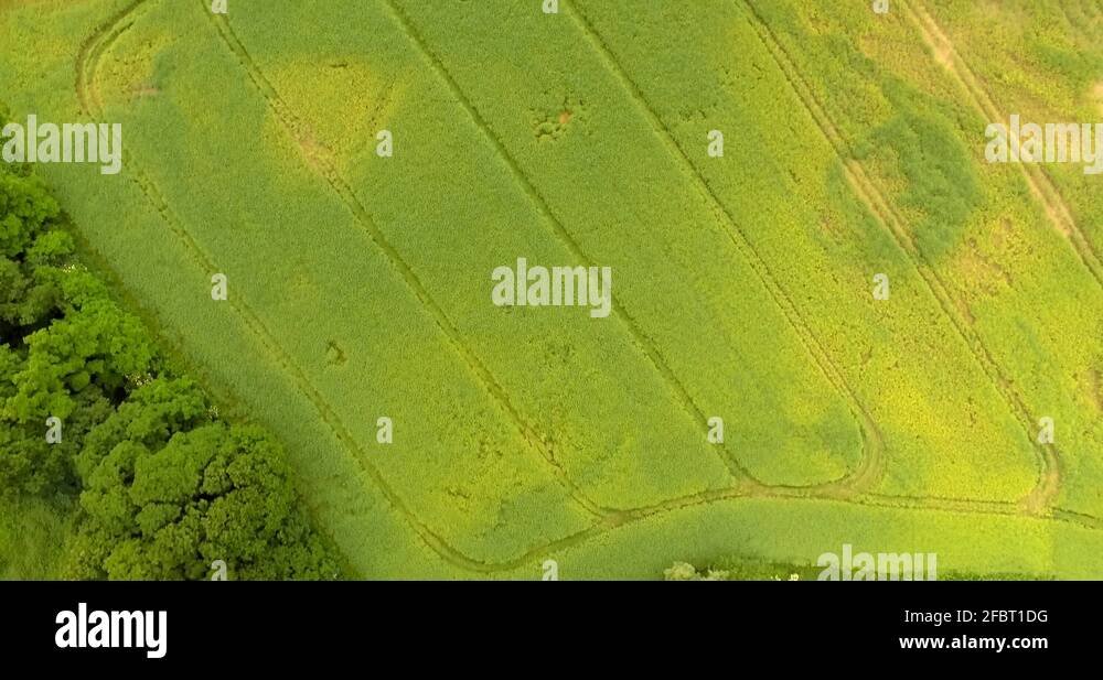 Oxygen rich environment Stock Videos & Footage - HD and 4K Video Clips ...