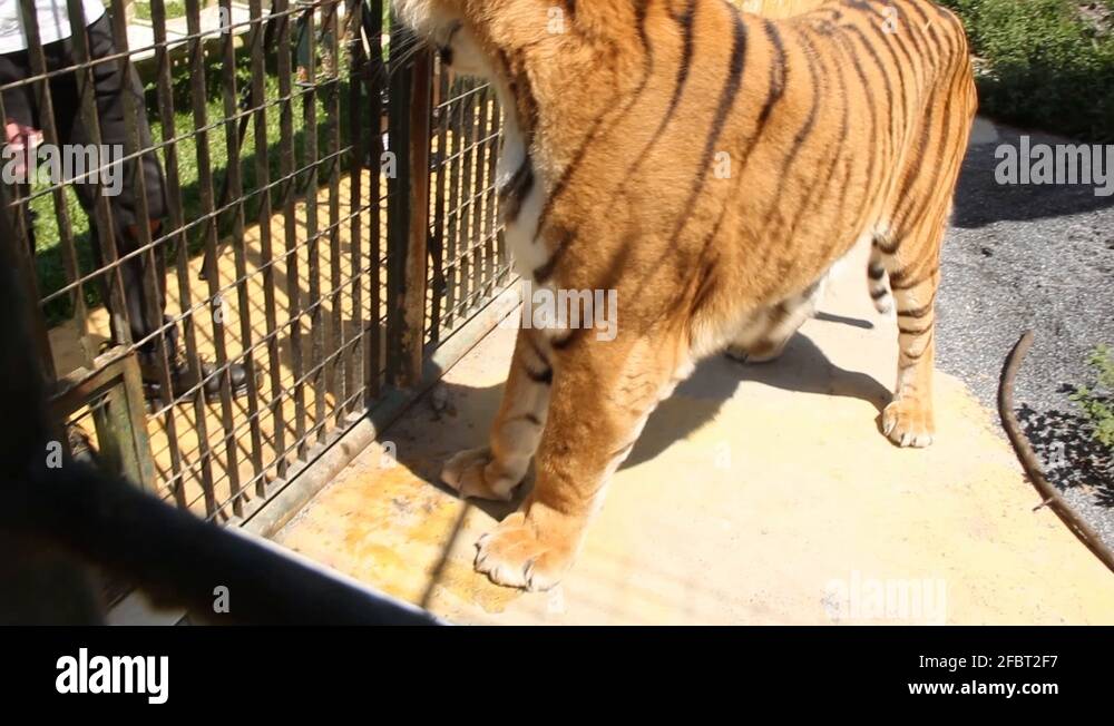 Man running from behind Stock Videos & Footage - HD and 4K Video Clips ...