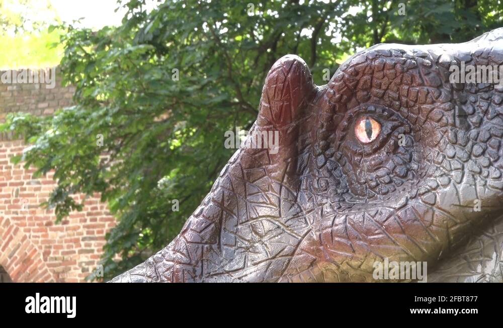 Realistic spinosaurus dinosaur in dino park eye Stock Video Footage - Alamy