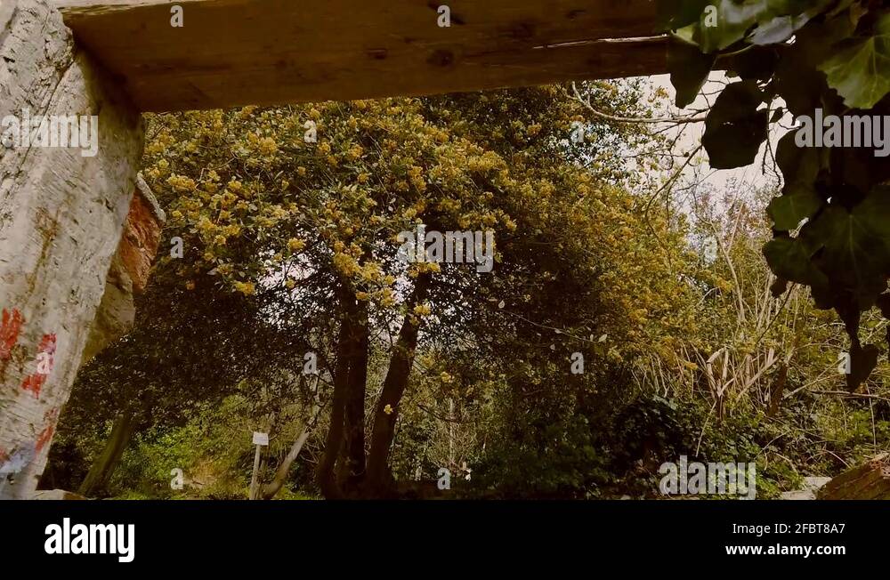 Derelict brick ruin door Stock Videos & Footage - HD and 4K Video Clips ...