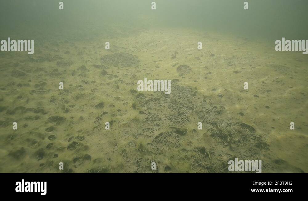 underwater bottom of a lake illuminated spectacularly by sun rays Stock ...