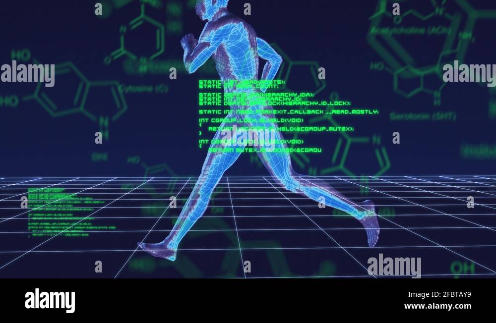 Running muscles human body Stock Videos & Footage - HD and 4K Video ...