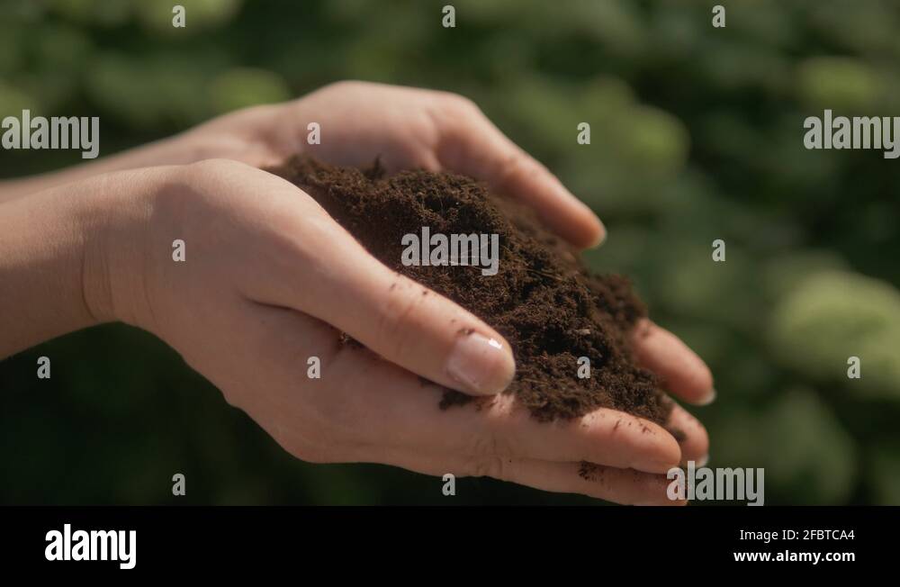 Soil cultivated dirt, earth, ground, agriculture land background ...