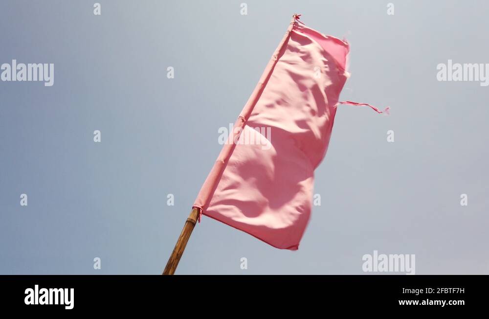 Pink flag Stock Videos & Footage - HD and 4K Video Clips - Alamy