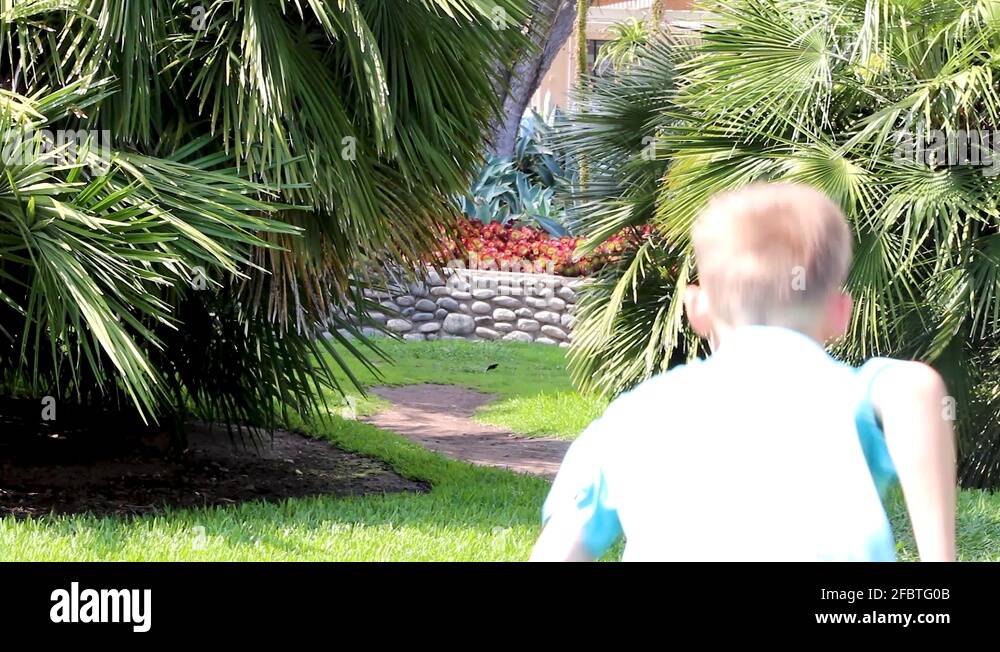 Boys running through the field Stock Videos & Footage - HD and 4K Video ...