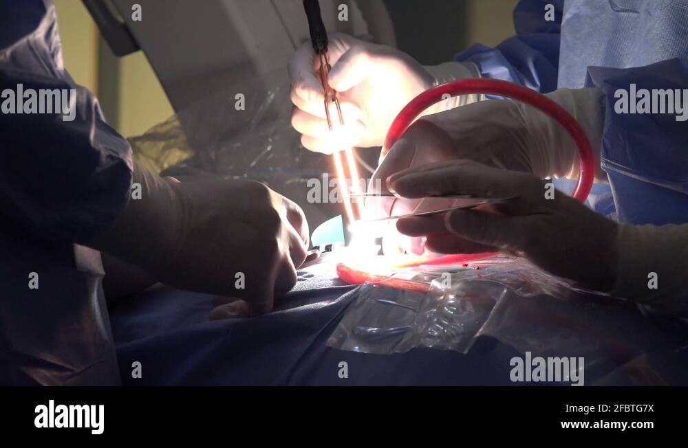 Insurance disc Stock Videos & Footage - HD and 4K Video Clips - Alamy