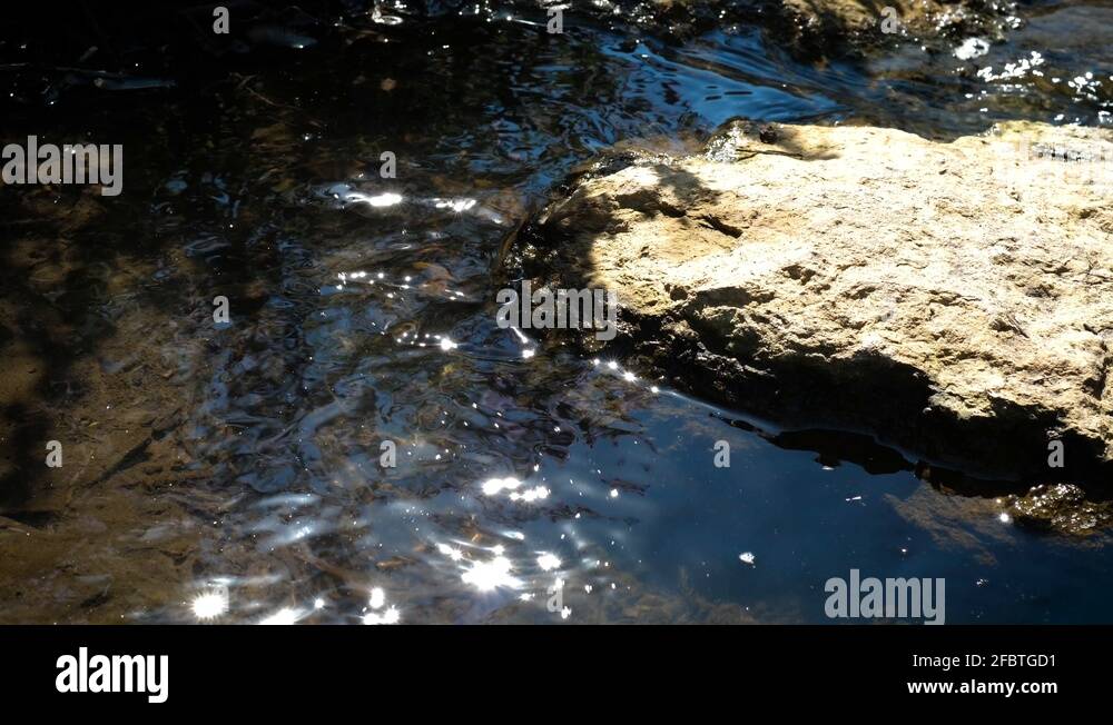 Water flowing around rock Stock Videos & Footage - HD and 4K Video ...