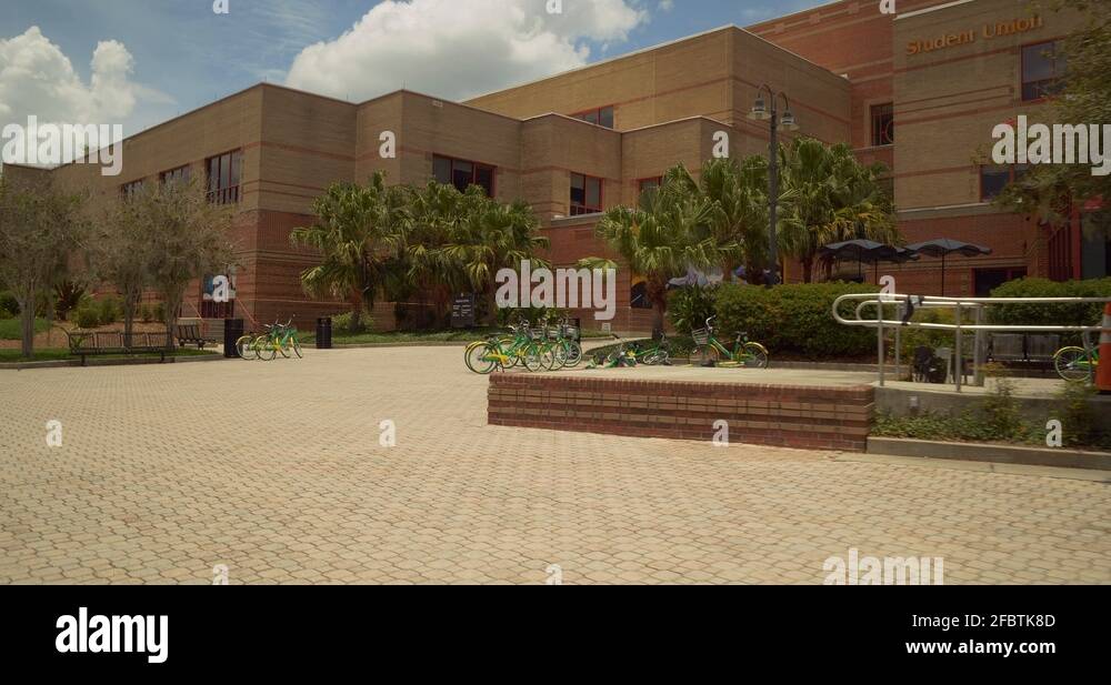 University of florida campus building Stock Videos & Footage - HD and ...