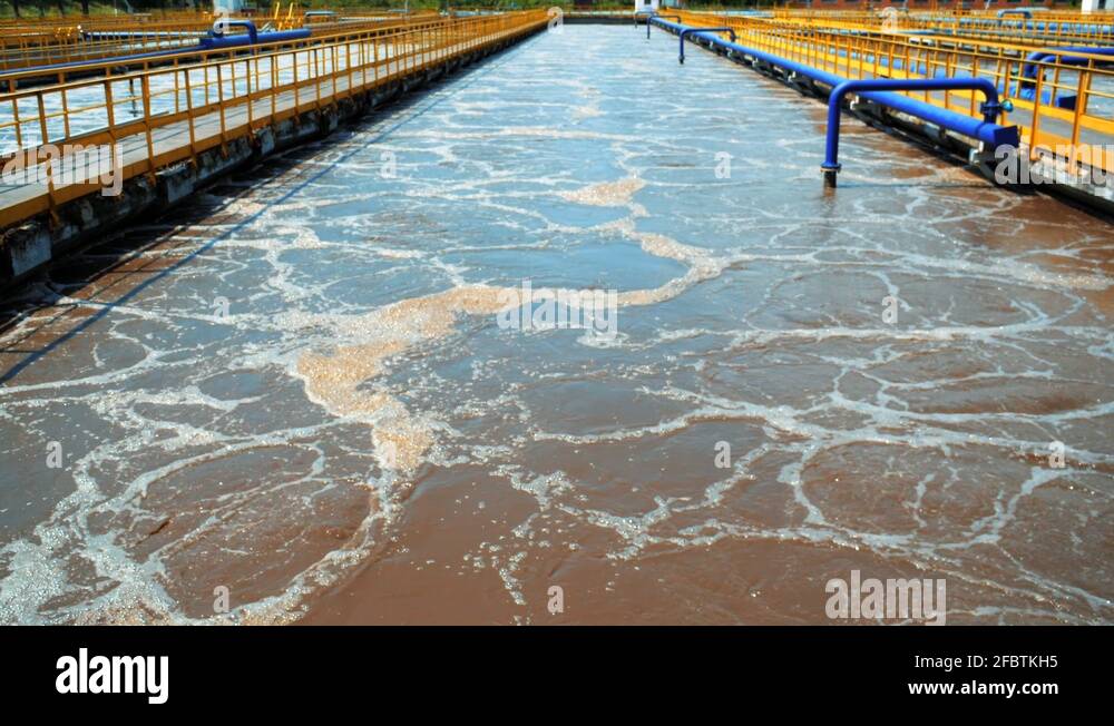 Tank or reservoir for biological purification and cleaning of dirty ...