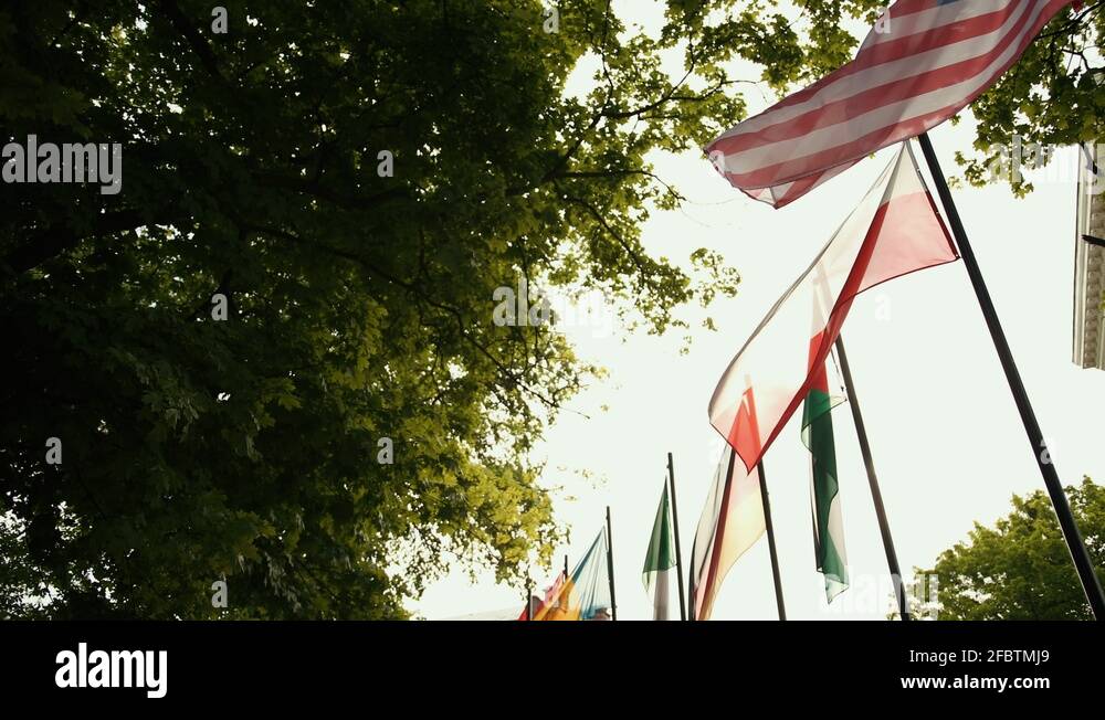 Flags of the different countries on a background of the blue sky. 4k ...