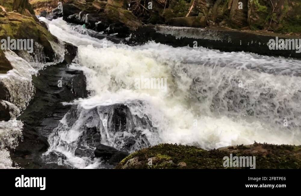 Running sideways Stock Videos & Footage - HD and 4K Video Clips - Alamy