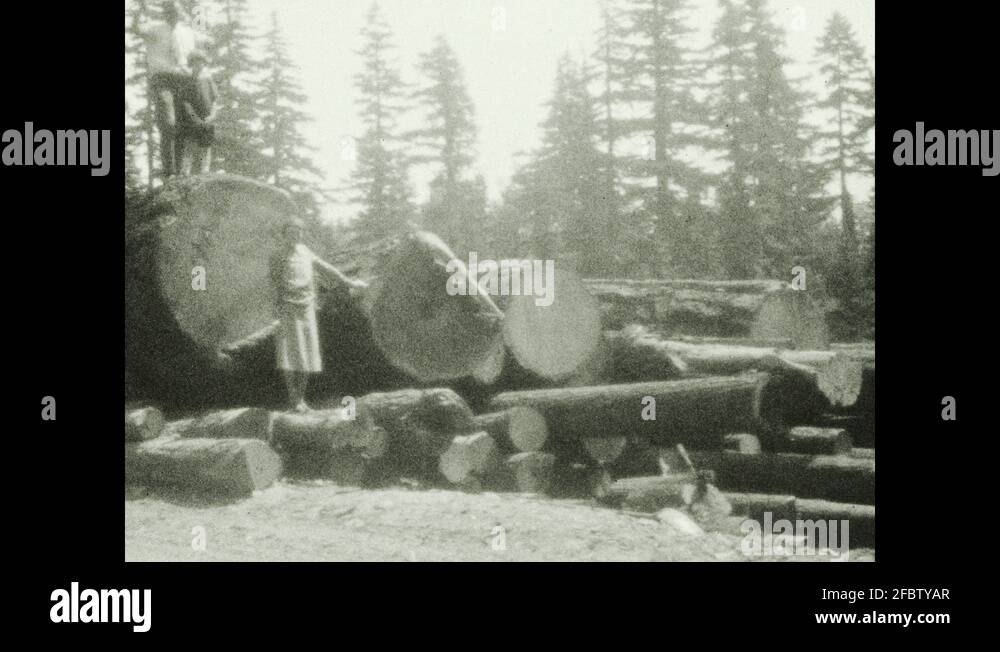 1920s: Man and girl pose on top of giant log. Woman stands in front of ...