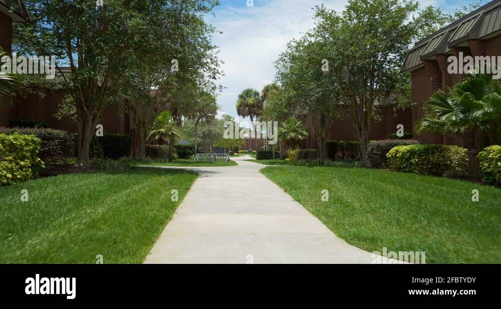 Bike riding in a college university campus 4k 60p Stock Video Footage ...