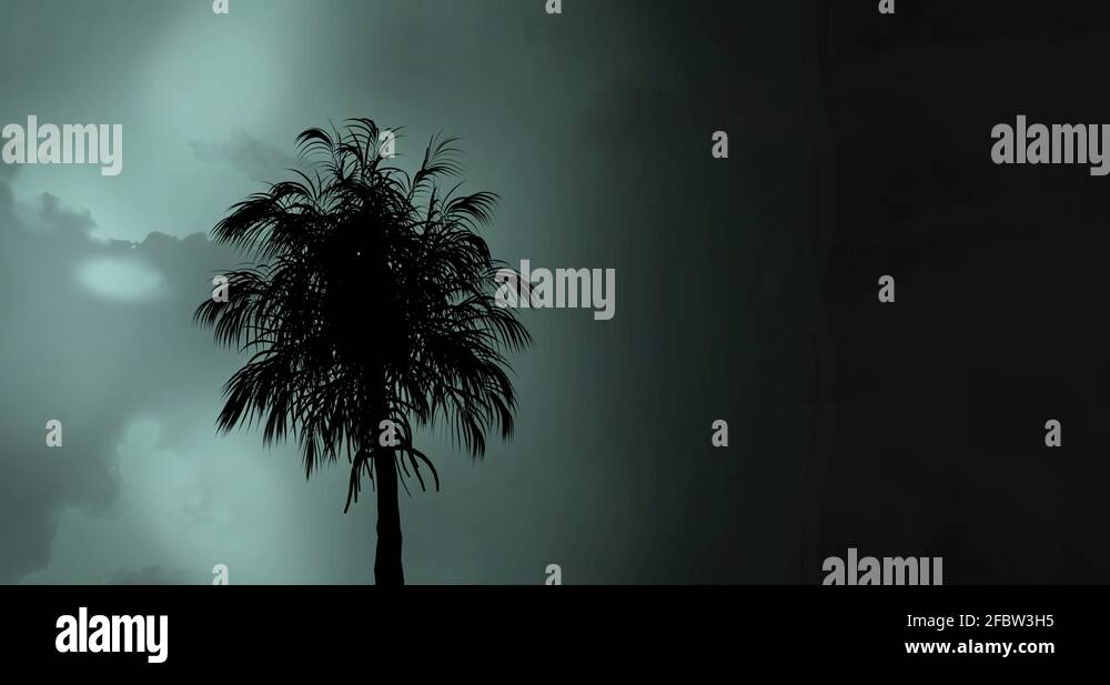 Lightning storm tree silhouette Stock Videos & Footage - HD and 4K ...