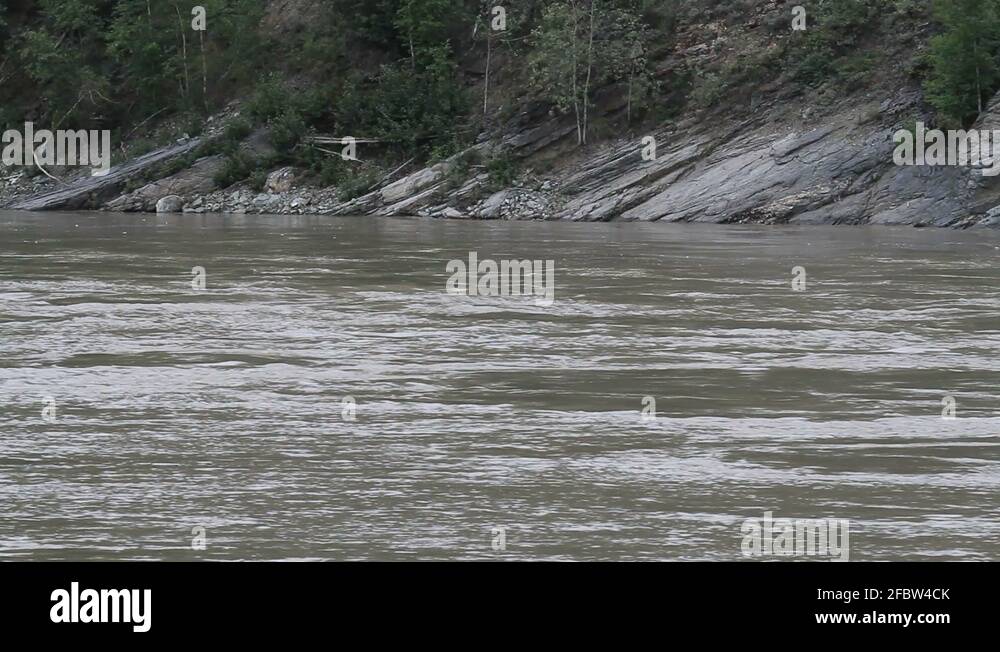 Dawson family Stock Videos & Footage - HD and 4K Video Clips - Alamy