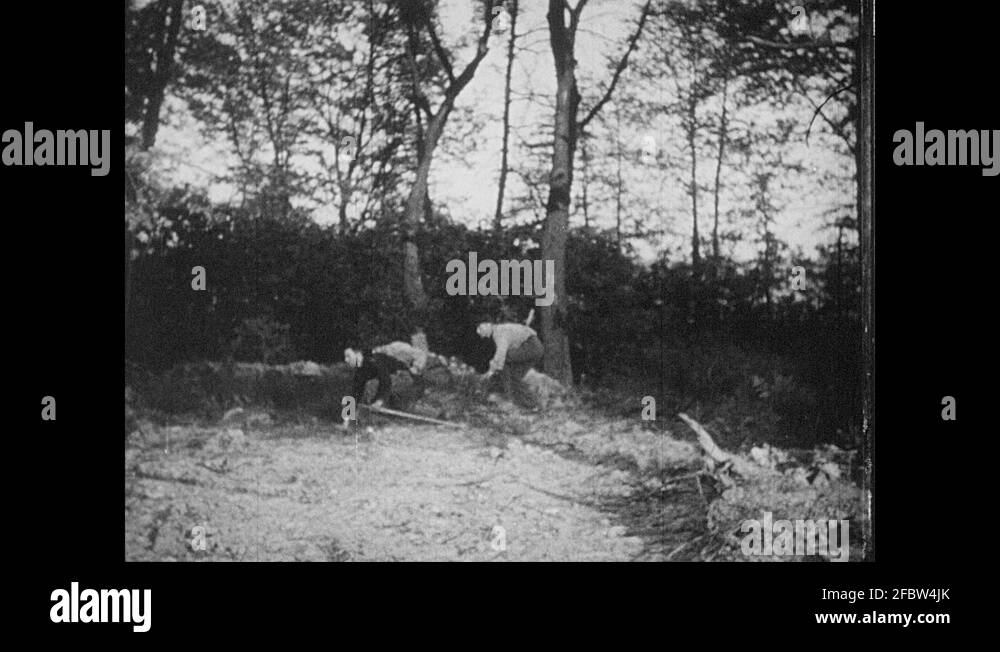 Hide man tree Stock Videos & Footage - HD and 4K Video Clips - Alamy