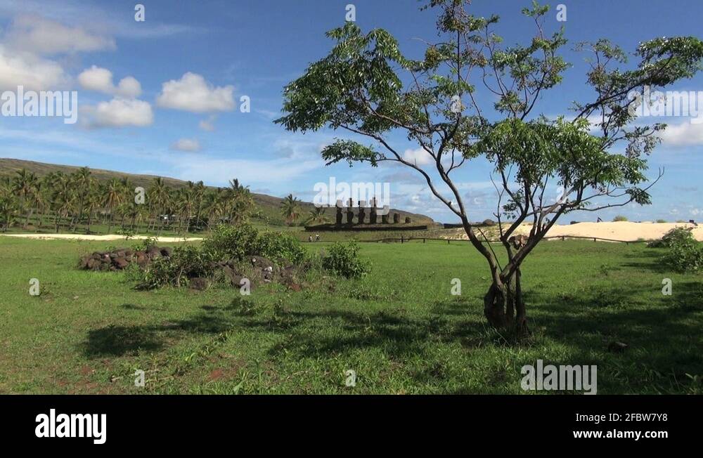 Ahu nau nau statue Stock Videos & Footage - HD and 4K Video Clips - Alamy