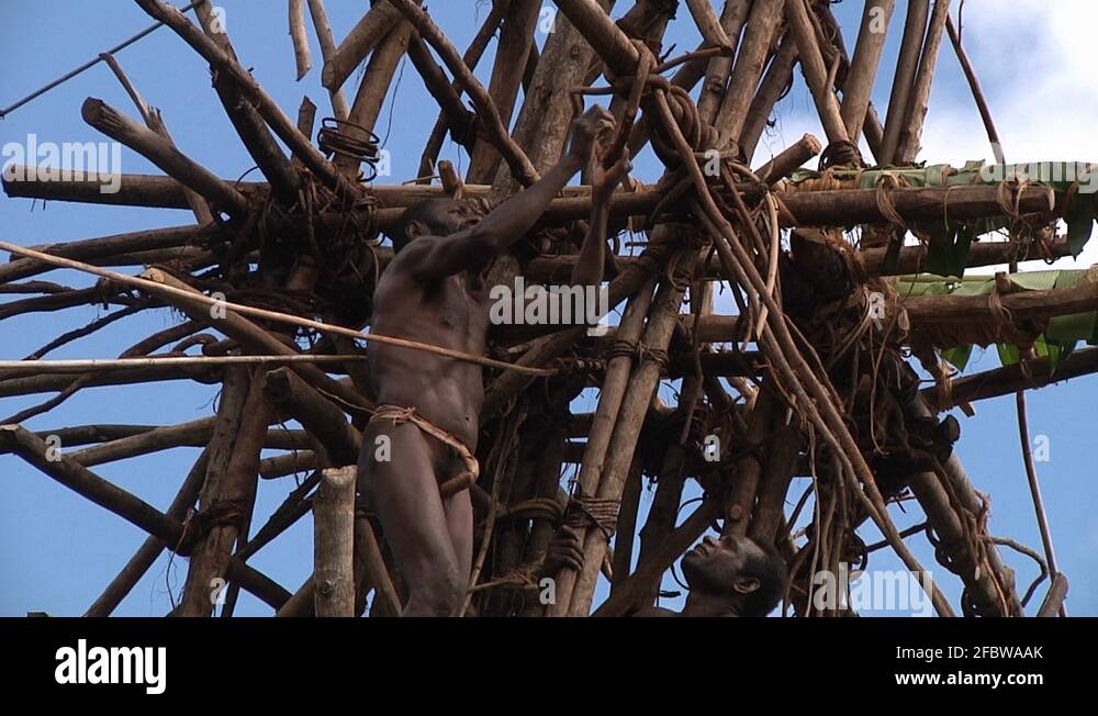 Tying of vine Stock Videos & Footage - HD and 4K Video Clips - Alamy