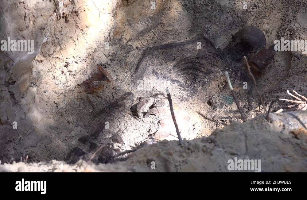 Especially the skull Stock Videos & Footage - HD and 4K Video Clips - Alamy