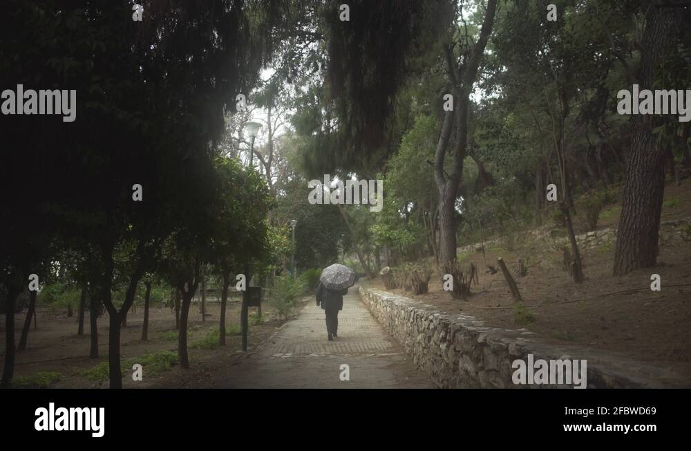Man walking inside a park Stock Videos & Footage - HD and 4K Video ...