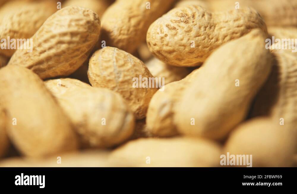 Pile of groundnuts Stock Videos & Footage - HD and 4K Video Clips - Alamy