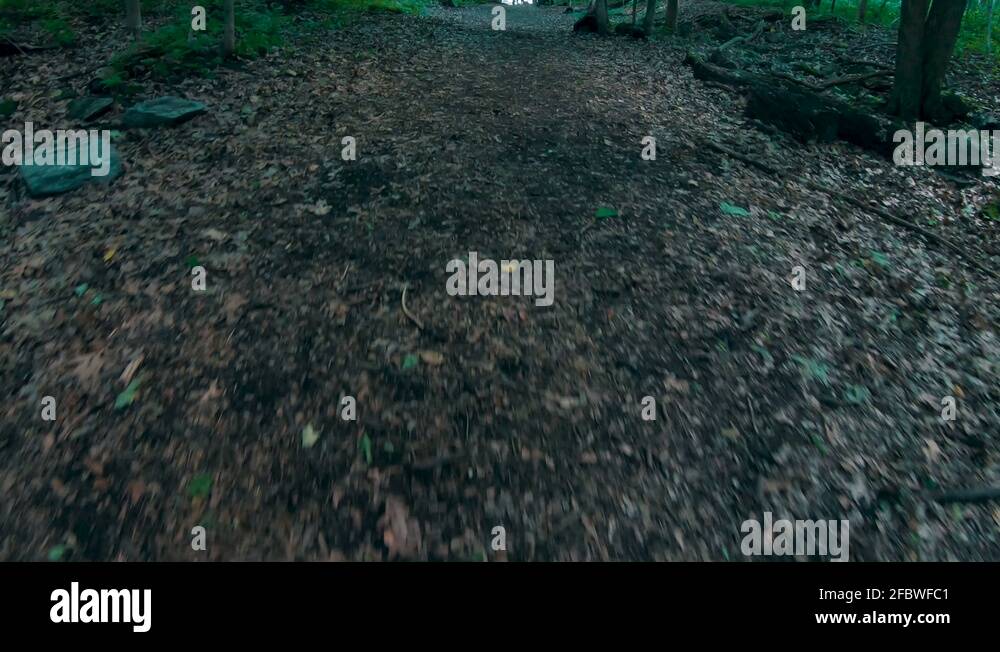 Spooky path illustration Stock Videos & Footage - HD and 4K Video Clips ...