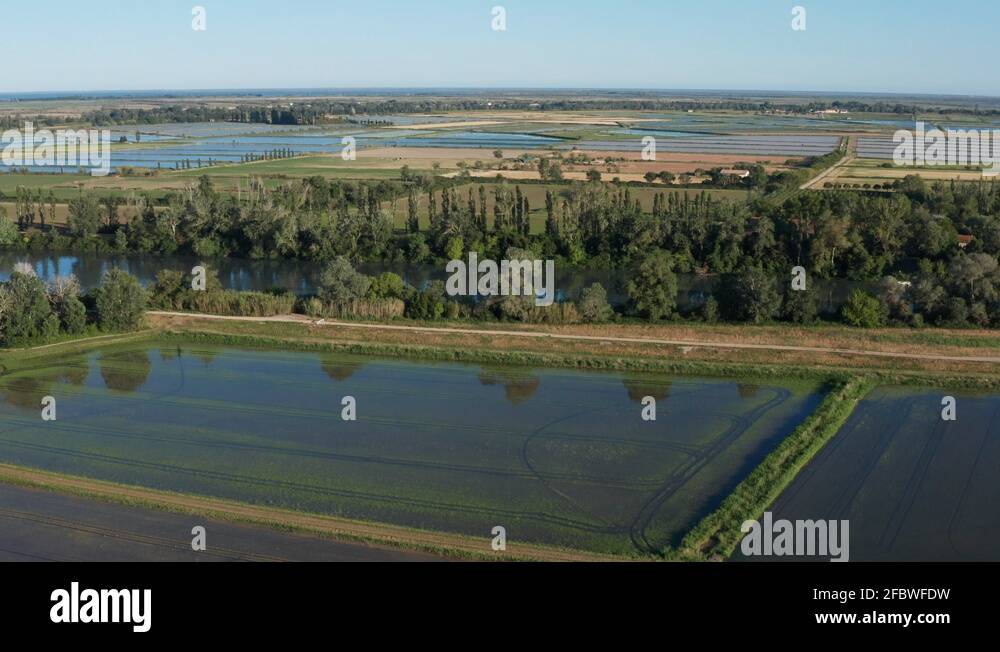 Camargue area Stock Videos & Footage - HD and 4K Video Clips - Alamy