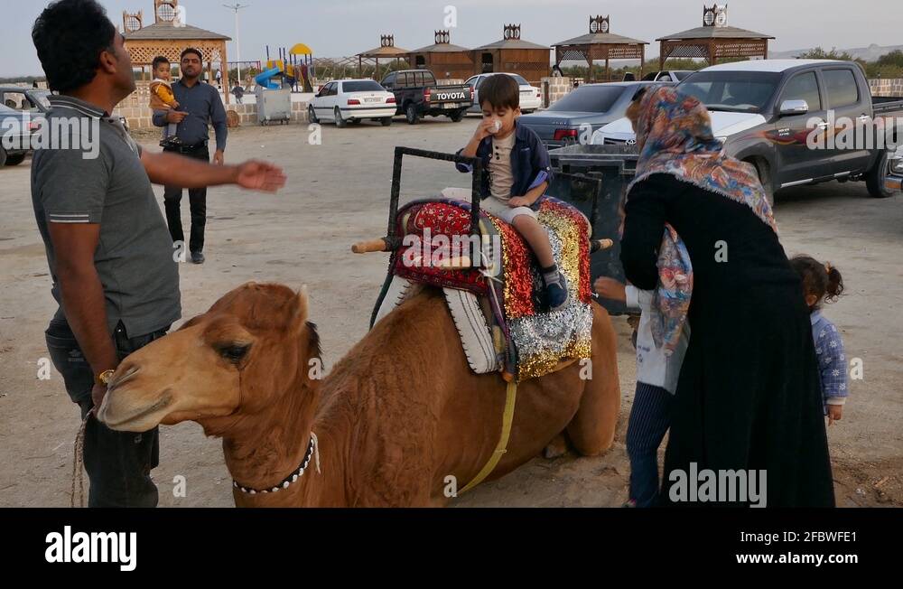 Children on camel Stock Videos & Footage - HD and 4K Video Clips - Alamy