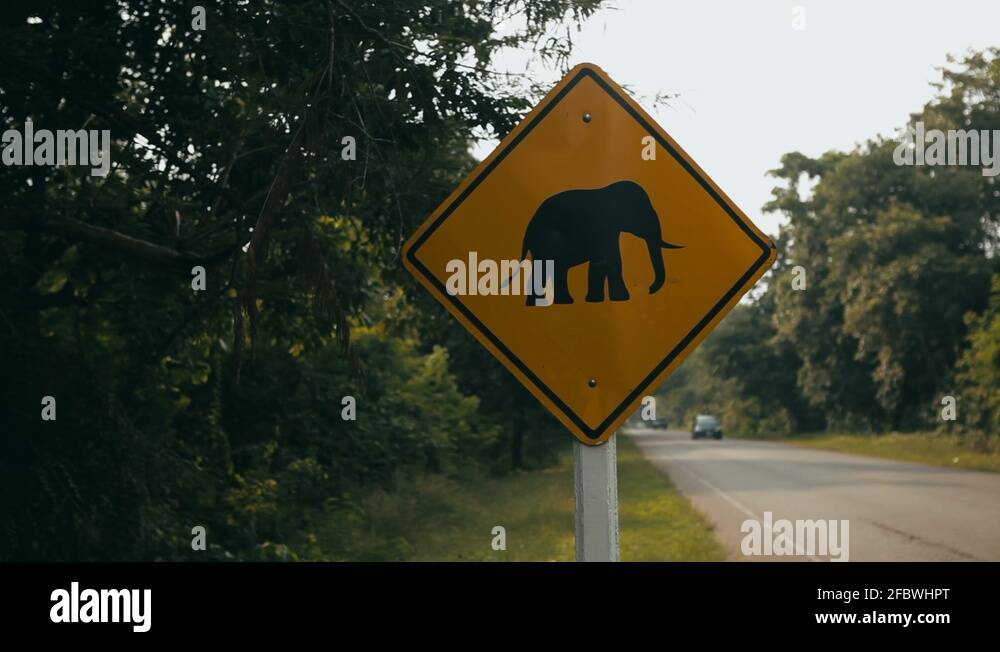 Road sign elephants crossing Stock Videos & Footage - HD and 4K Video ...