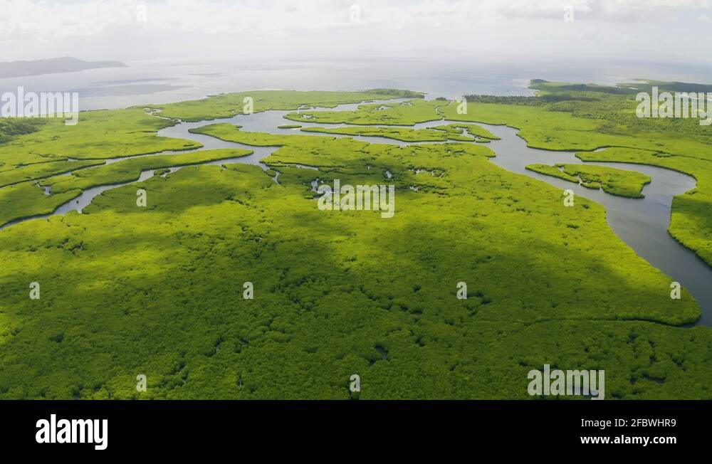 Ecology system Stock Videos & Footage - HD and 4K Video Clips - Alamy