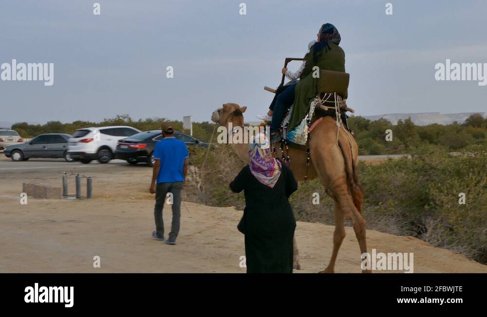 Children and camel Stock Videos & Footage - HD and 4K Video Clips - Alamy