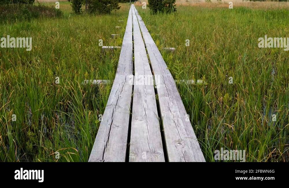 Plank wood pathway Stock Videos & Footage - HD and 4K Video Clips - Alamy
