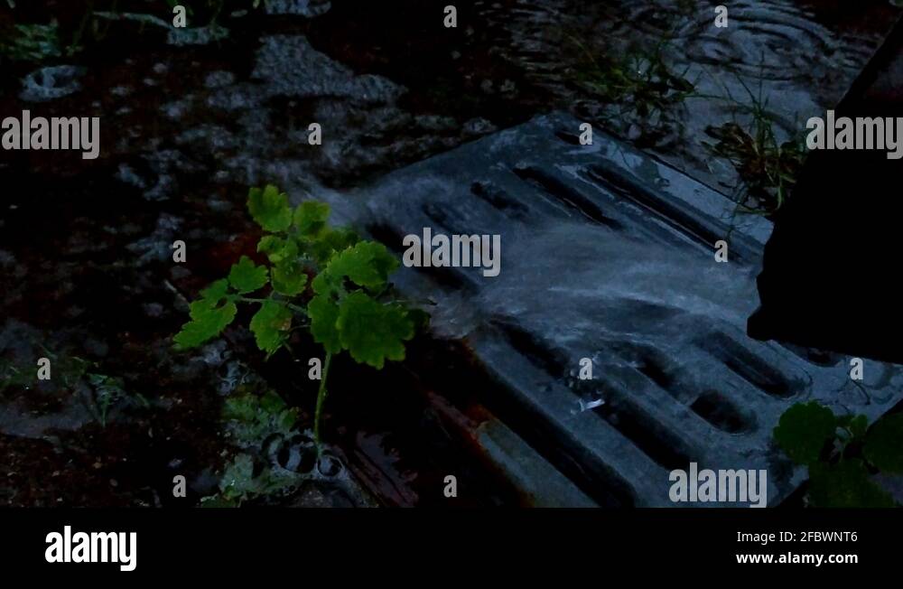 Water flowing out of a pipe onto a grated gutter and overflowing in a ...