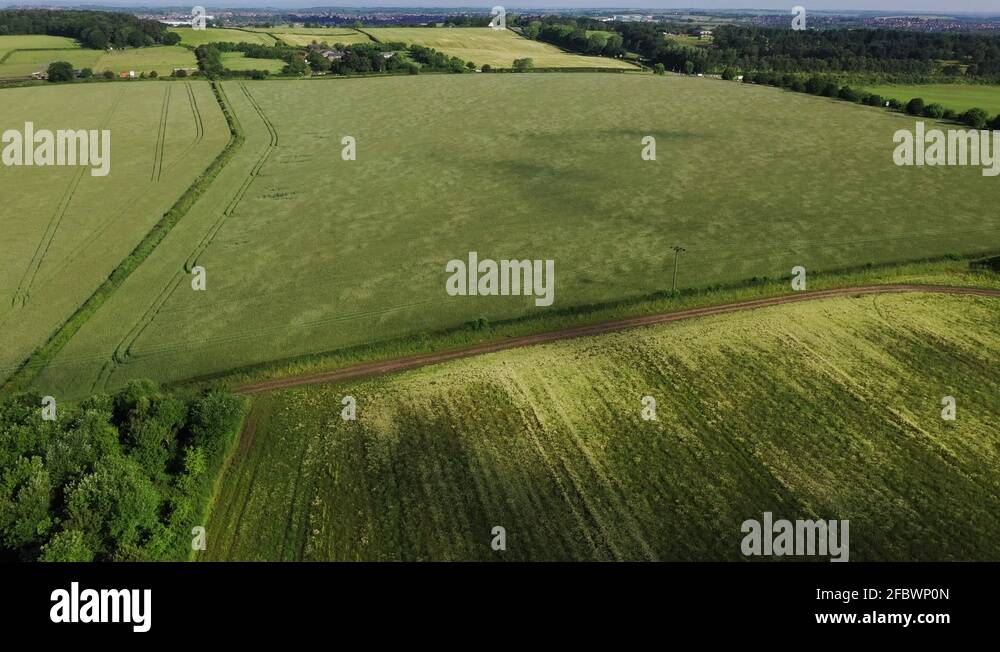 Wind swept wheat Stock Videos & Footage - HD and 4K Video Clips - Alamy