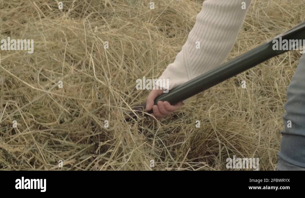Farmer turning hay Stock Videos & Footage - HD and 4K Video Clips - Alamy